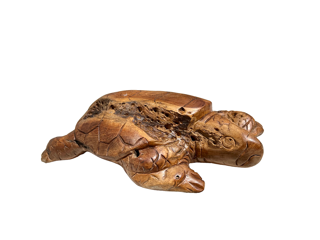 Teak Root Garden Turtle | Asia-Teak