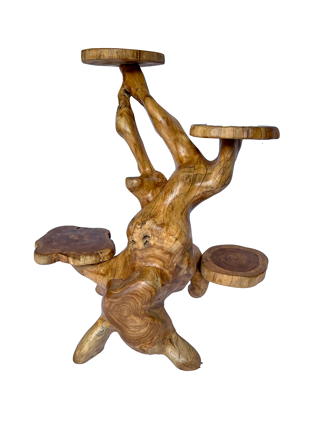 Teak root plant stand store